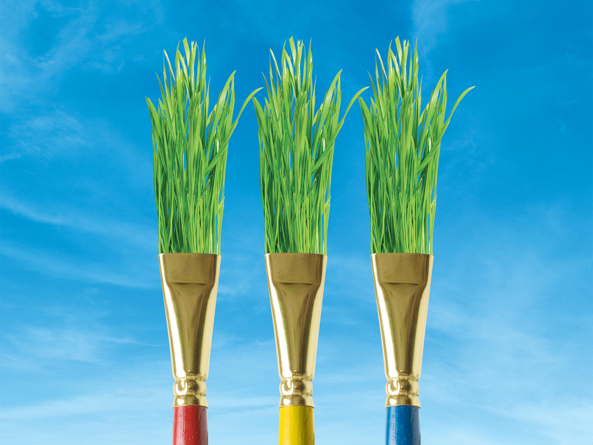 Eric Carle Ad - CrispStudio